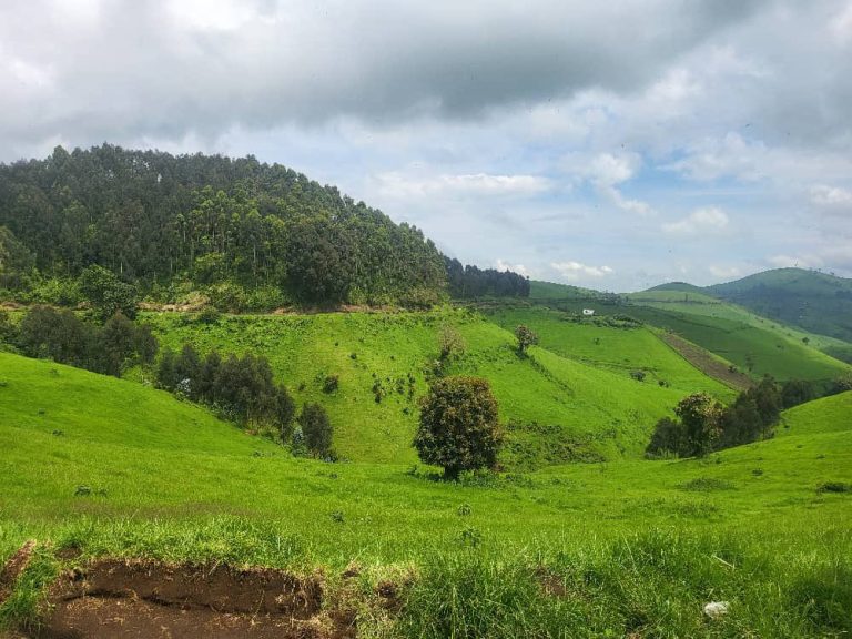 Masisi : Deux civils tués dans une attaque présumée des Wazalendo à ...