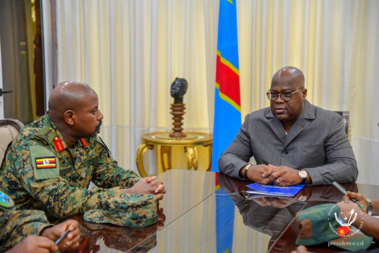 RDC : Menace sur les Wazalendo après la rencontre Tshisekedi ...